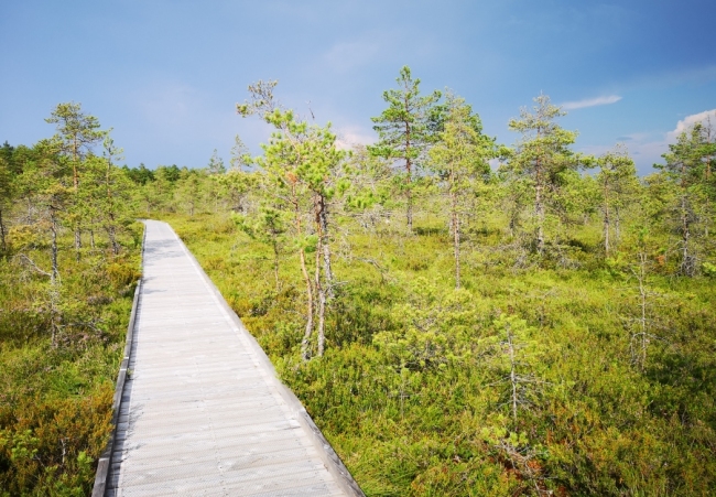 Matkarajad | Reisijutud